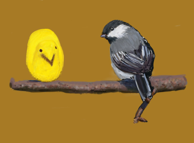 Bird with peep - ibisPaint