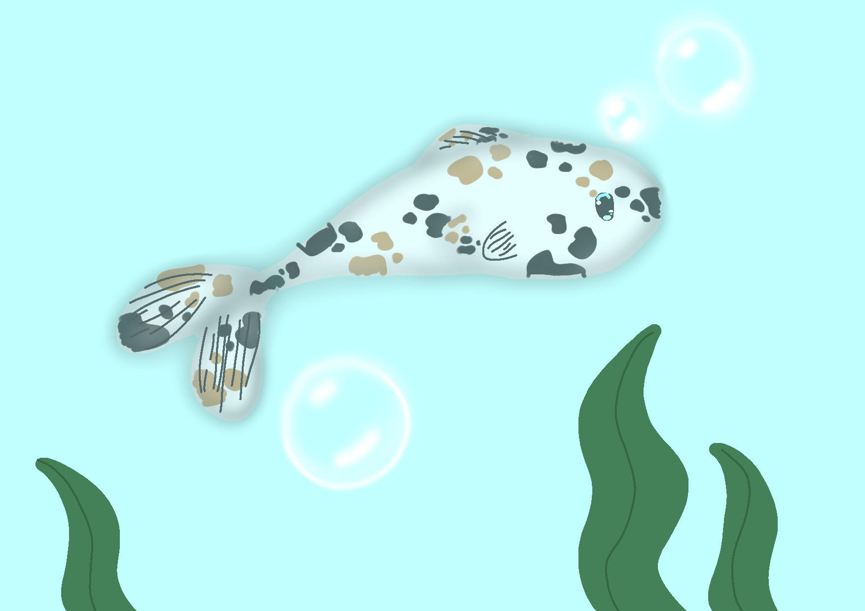 karpa koi fish - ibisPaint