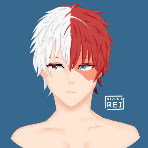 todoroki shoto - ibisPaint