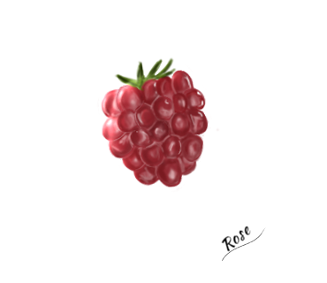 Raspberry - ibisPaint