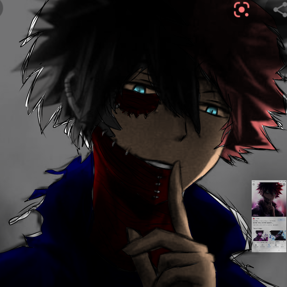 todoroki - ibisPaint