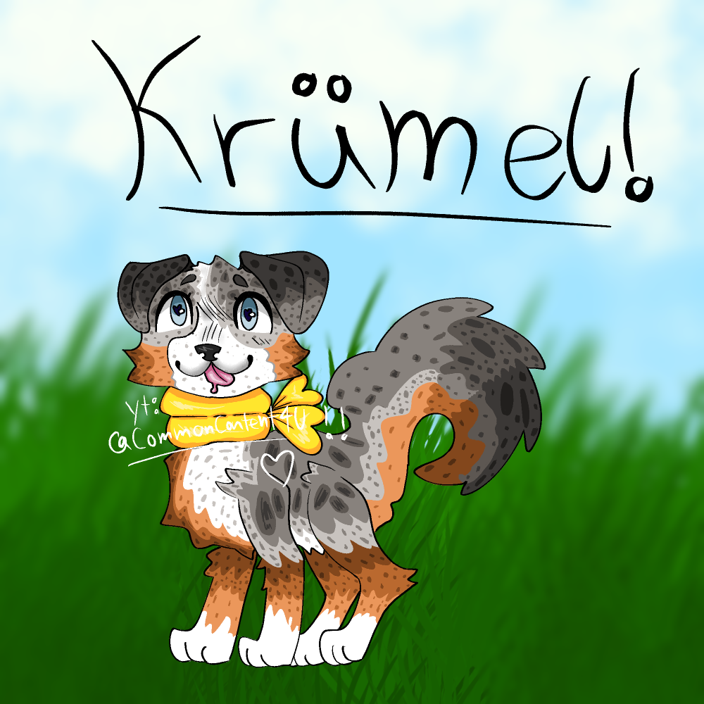 Cartoony Australian Shepherd - ibisPaint