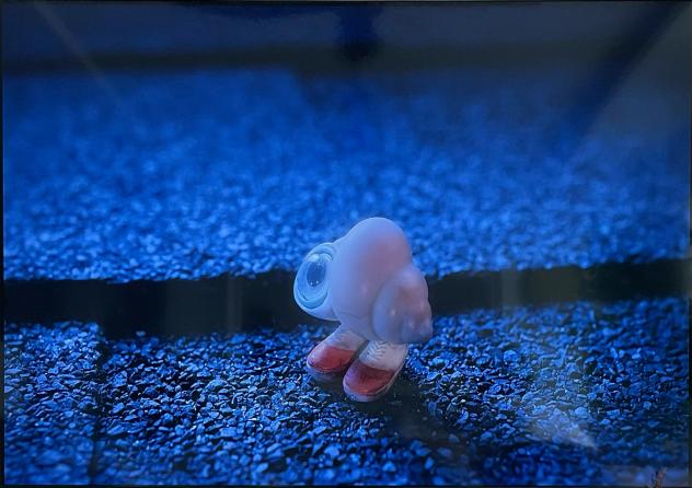 Soooooooooo I tried realism - ibisPaint