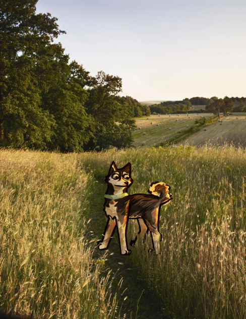 Siberian Husky - ibisPaint