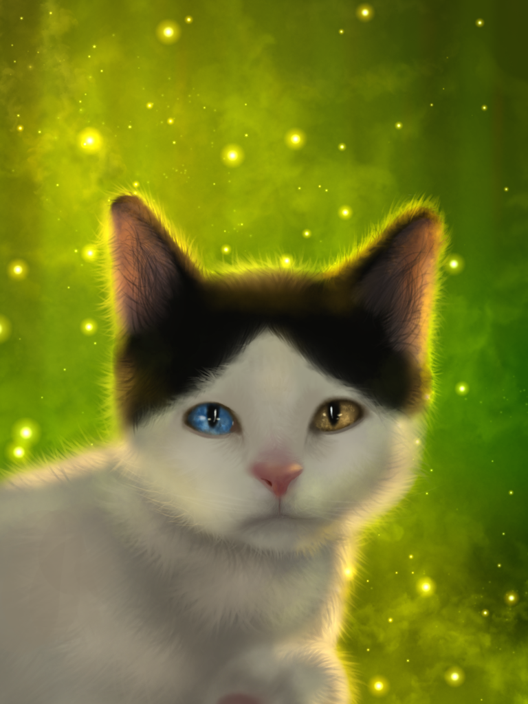 Kitten - ibisPaint