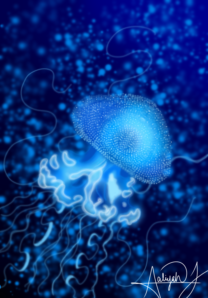 Jellyfish - ibisPaint