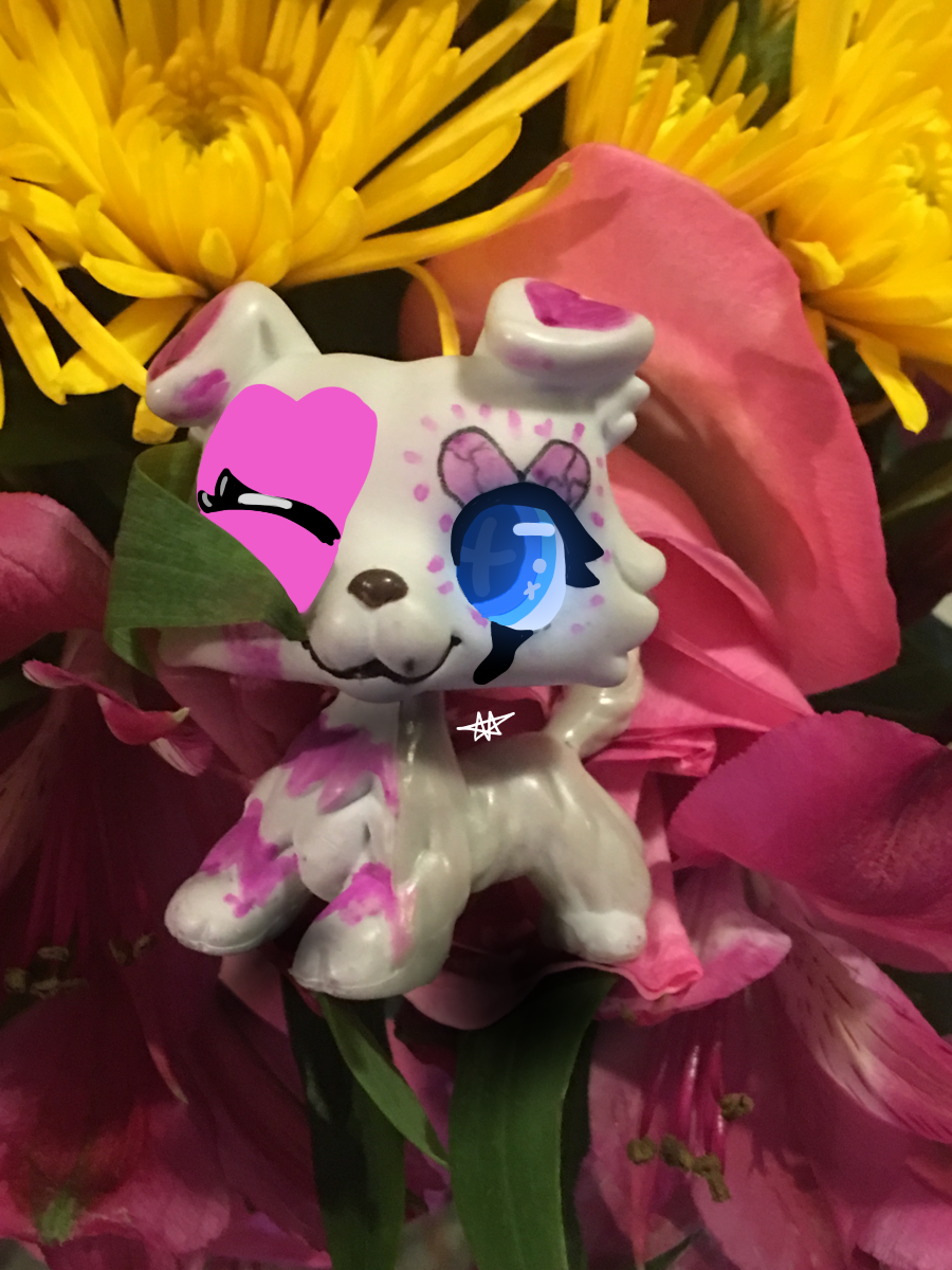 ¡Coustom! LPS collie edit - ibisPaint