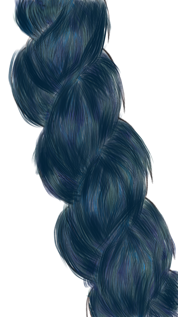 Braid practice - ibisPaint