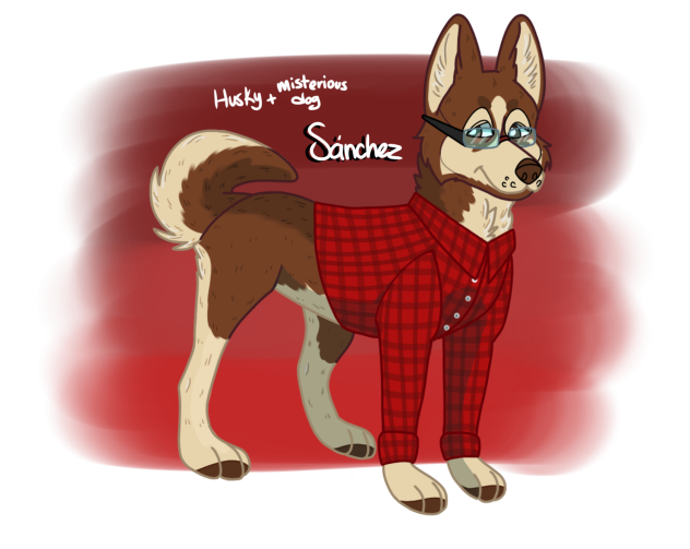 Speed Draw Husky - ibisPaint