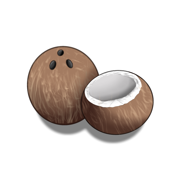 Coconut half & whole - ibisPaint