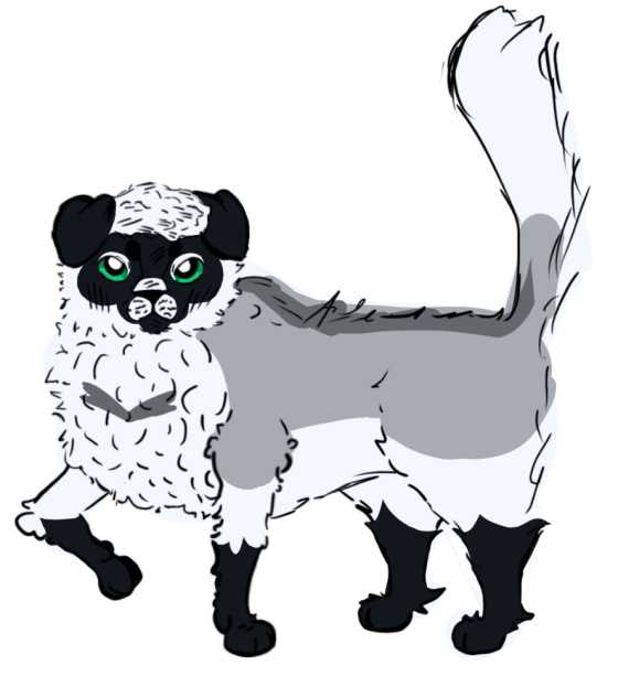 Sheep’Fur - ibisPaint