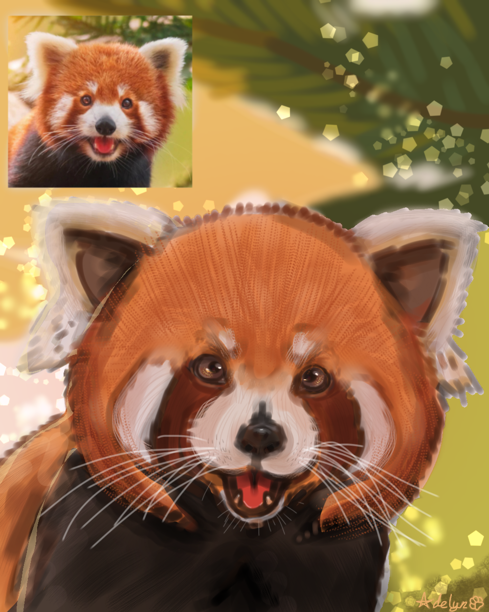 Red Panda - ibisPaint