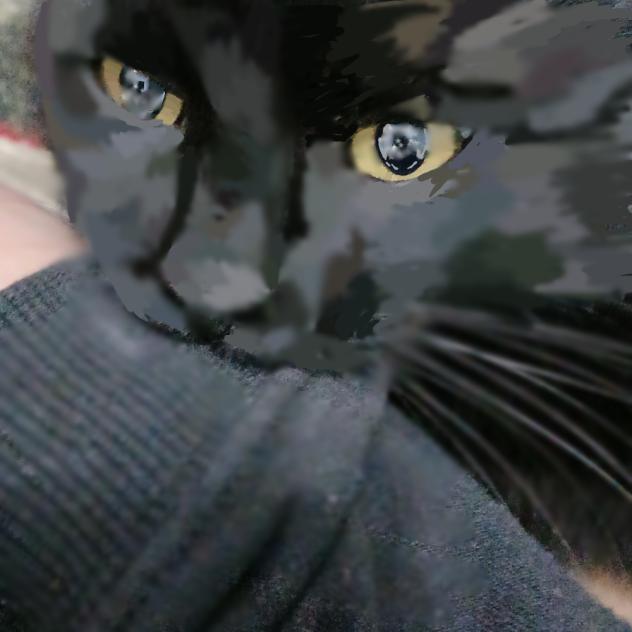 my silly cat - ibisPaint