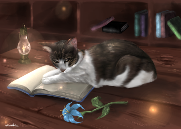 Library Cat - ibisPaint