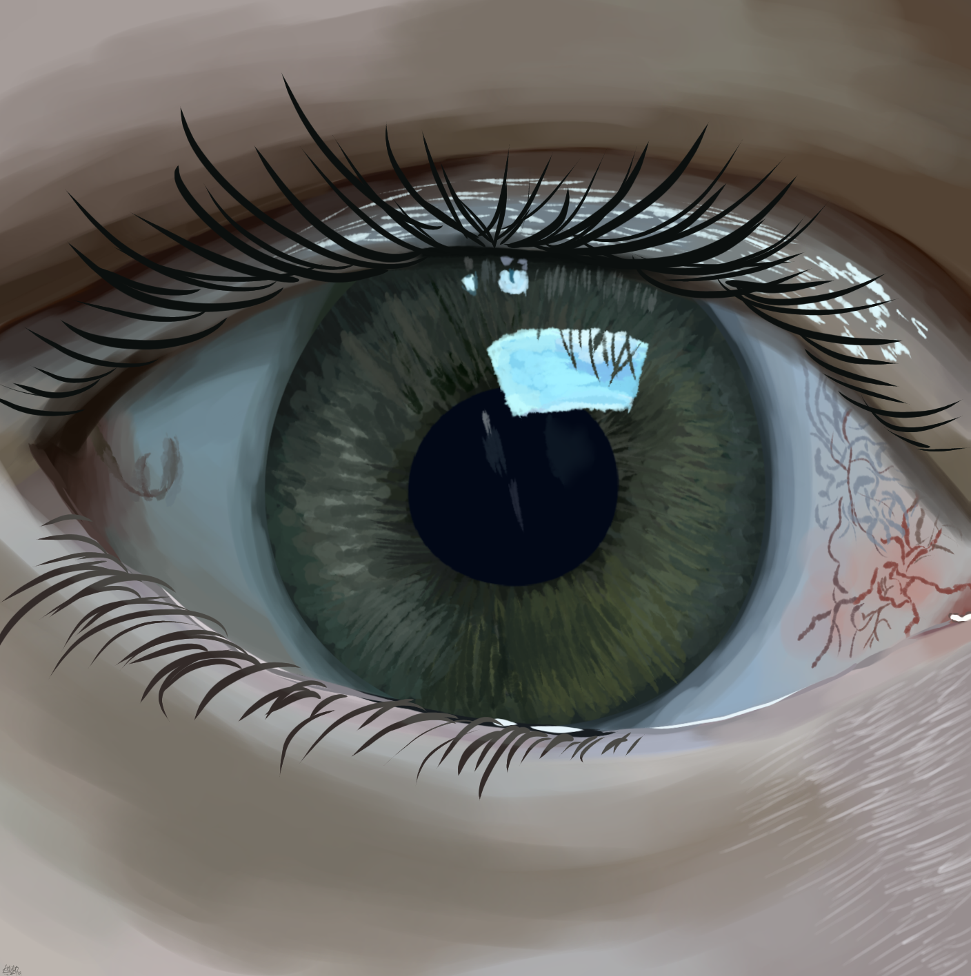 dark forest green - ibisPaint