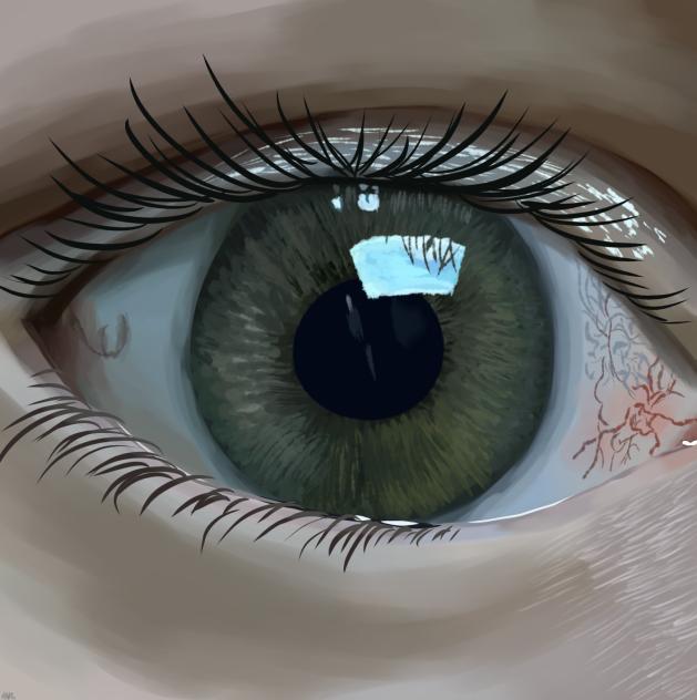 dark forest green - ibisPaint