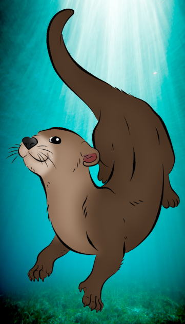 otter - ibisPaint