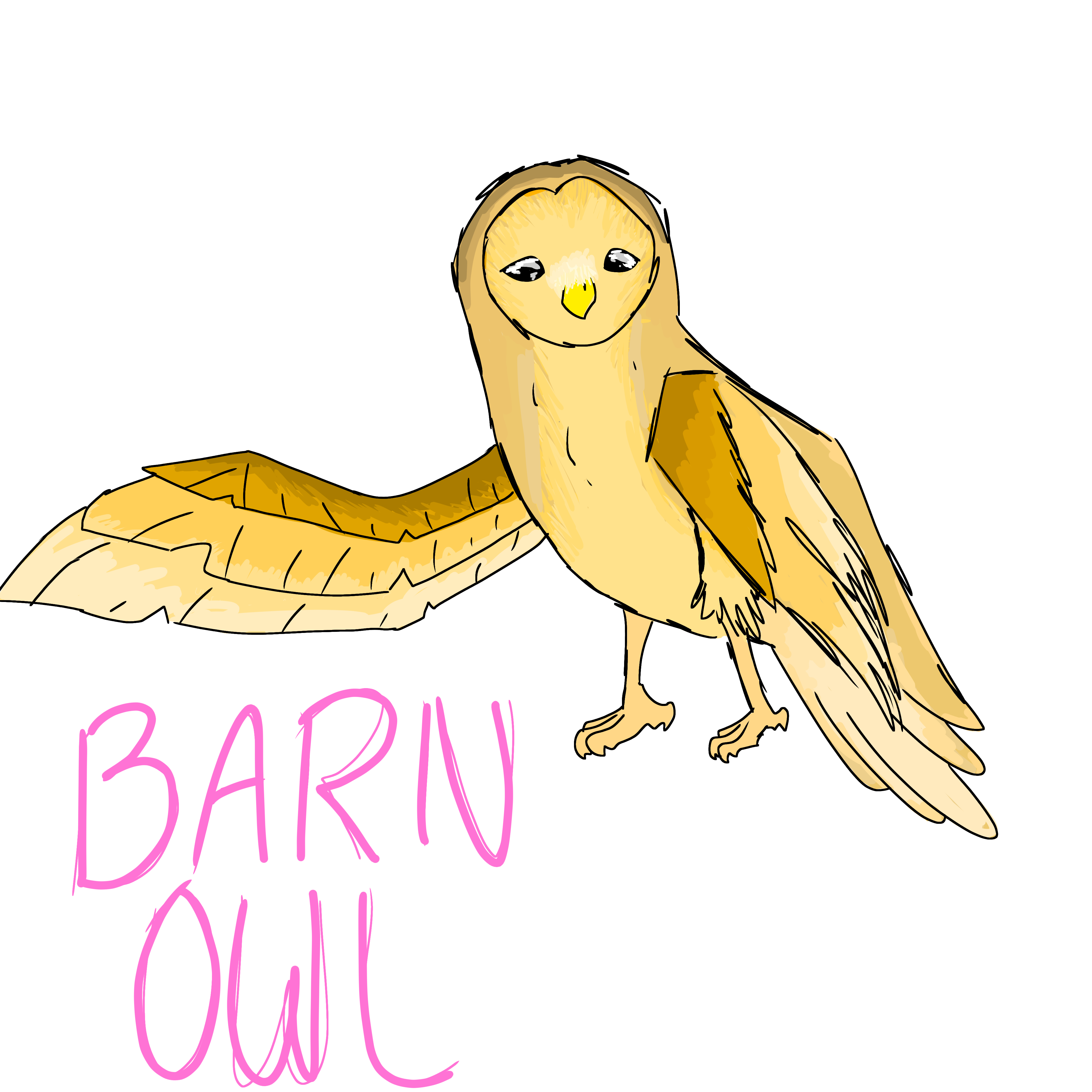BETTER BARN OWL X3 - ibisPaint