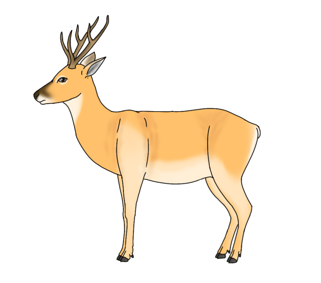Pampas Deer - ibisPaint
