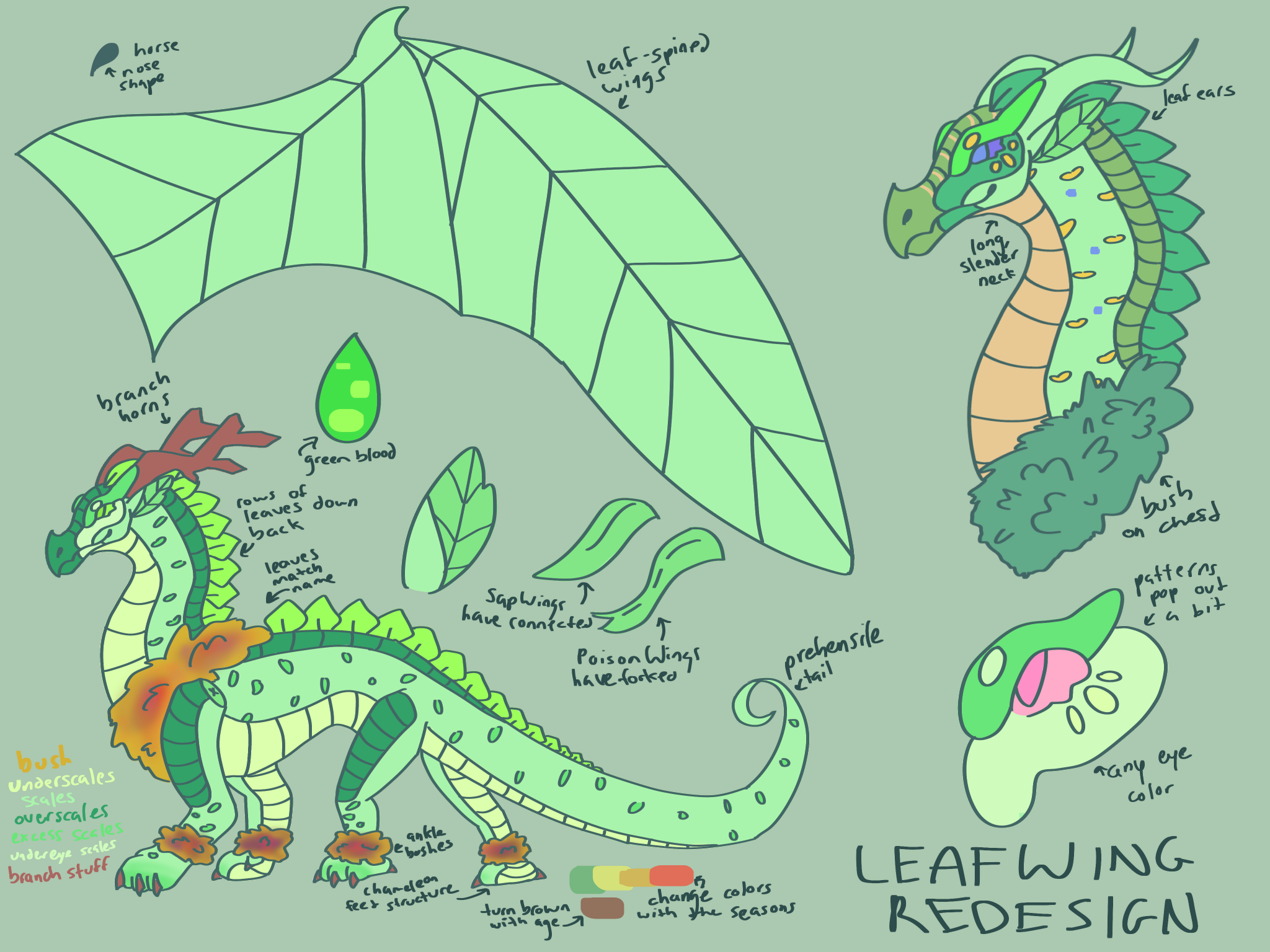 LeafWing Redesign (speedpaint) - ibisPaint