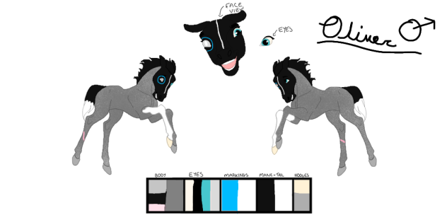 Oliver - Foal ref - ibisPaint