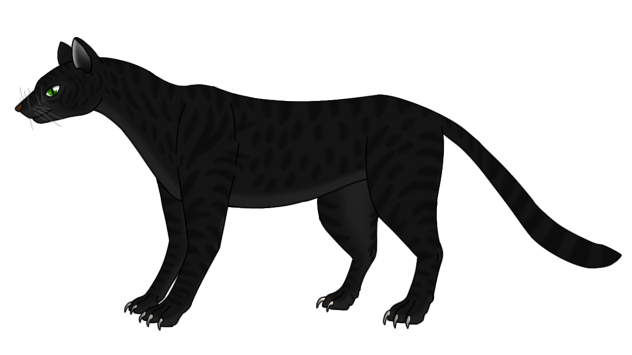 Black Mngwa (fixed) render - ibisPaint