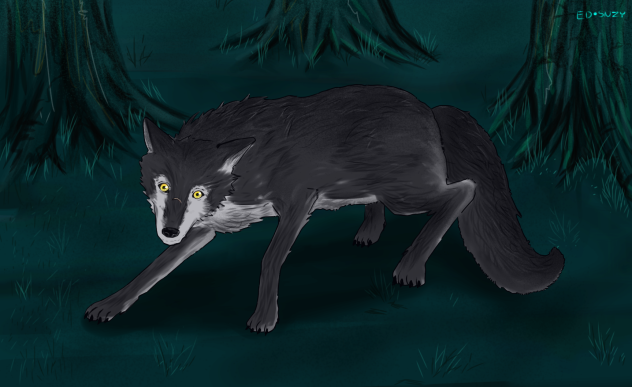 lone wolf~ - ibisPaint