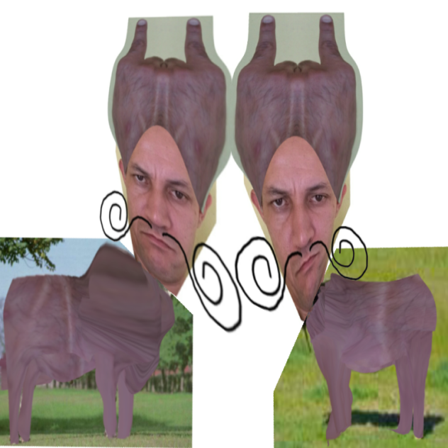 Boi e vaca - ibisPaint