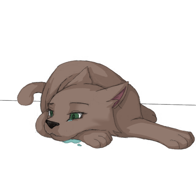 Animation Cat sad - ibisPaint