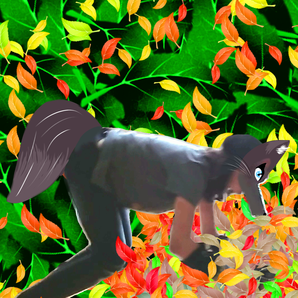 black fox in the fall - ibisPaint
