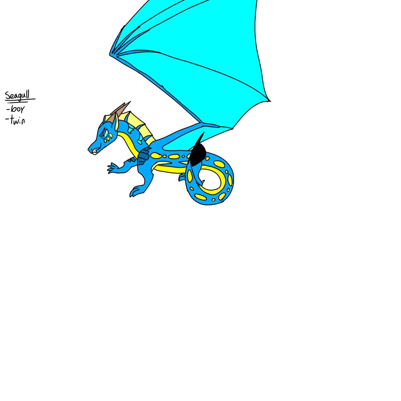 Seagull oc - ibisPaint