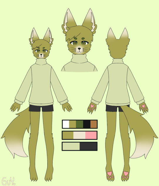 CharSheet [Little Fox] - ibisPaint