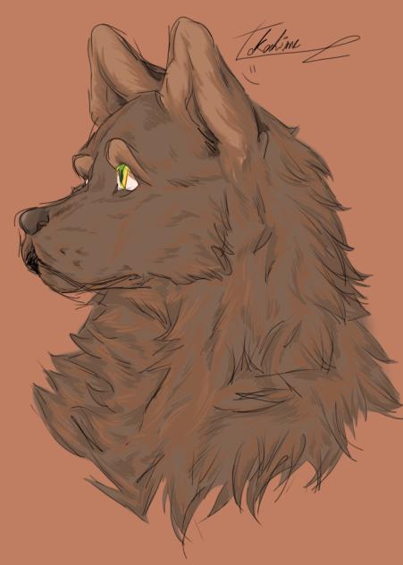 Normal Wolf - ibisPaint