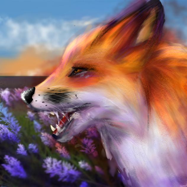 red fox art - ibisPaint