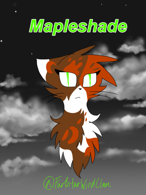Mapleshade Warriors - ibisPaint
