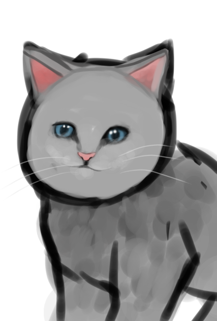 Weird cat - ibisPaint