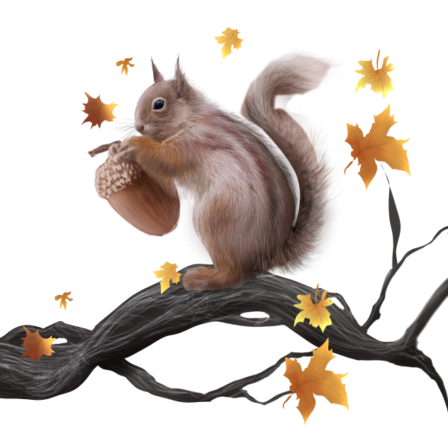 squirrel - ibisPaint