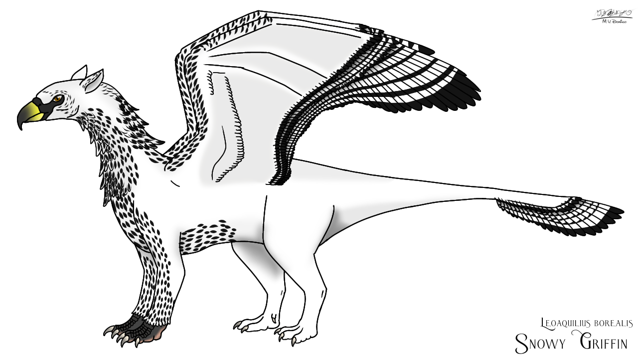 Snowy Griffin - ibisPaint