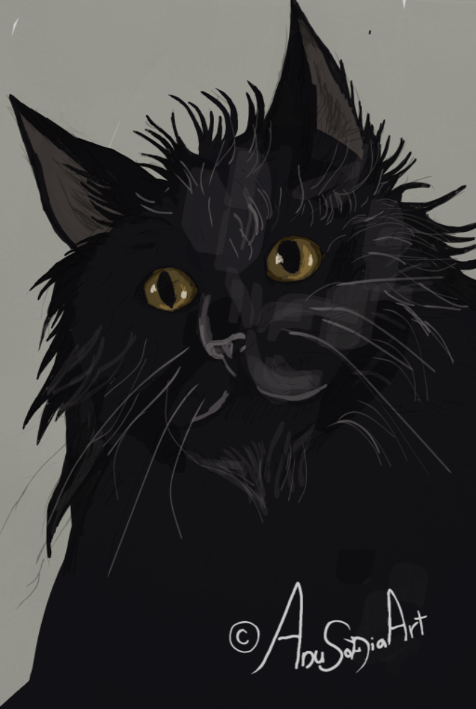 the Freyja Cat - ibisPaint