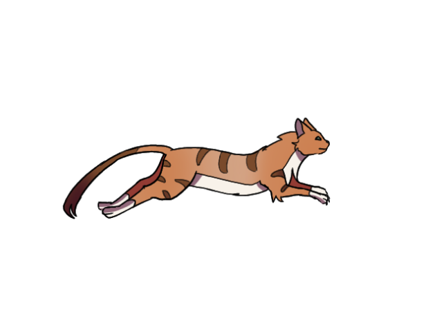 First finished animation - ibisPaint