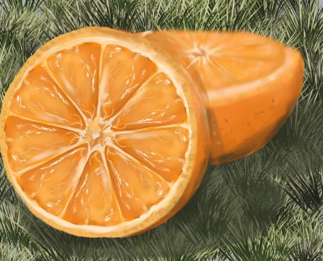 Orange 🍊 - ibisPaint