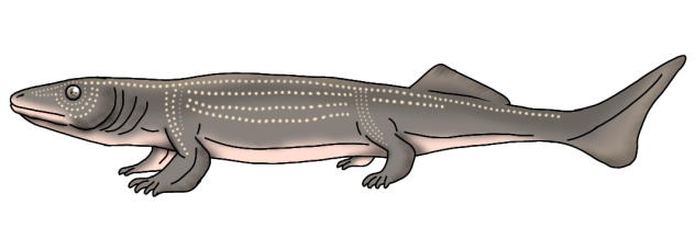 Common Rudyosai (2023) render - ibisPaint