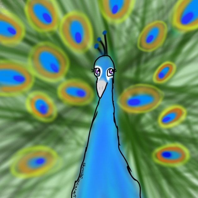 peacock 🦚 - ibisPaint