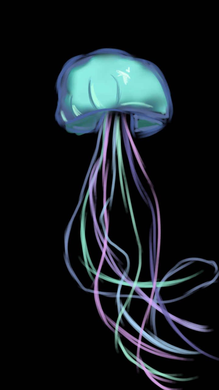 Jellyfish - ibisPaint