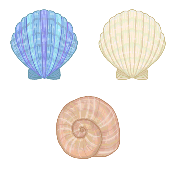 Seashells - ibisPaint