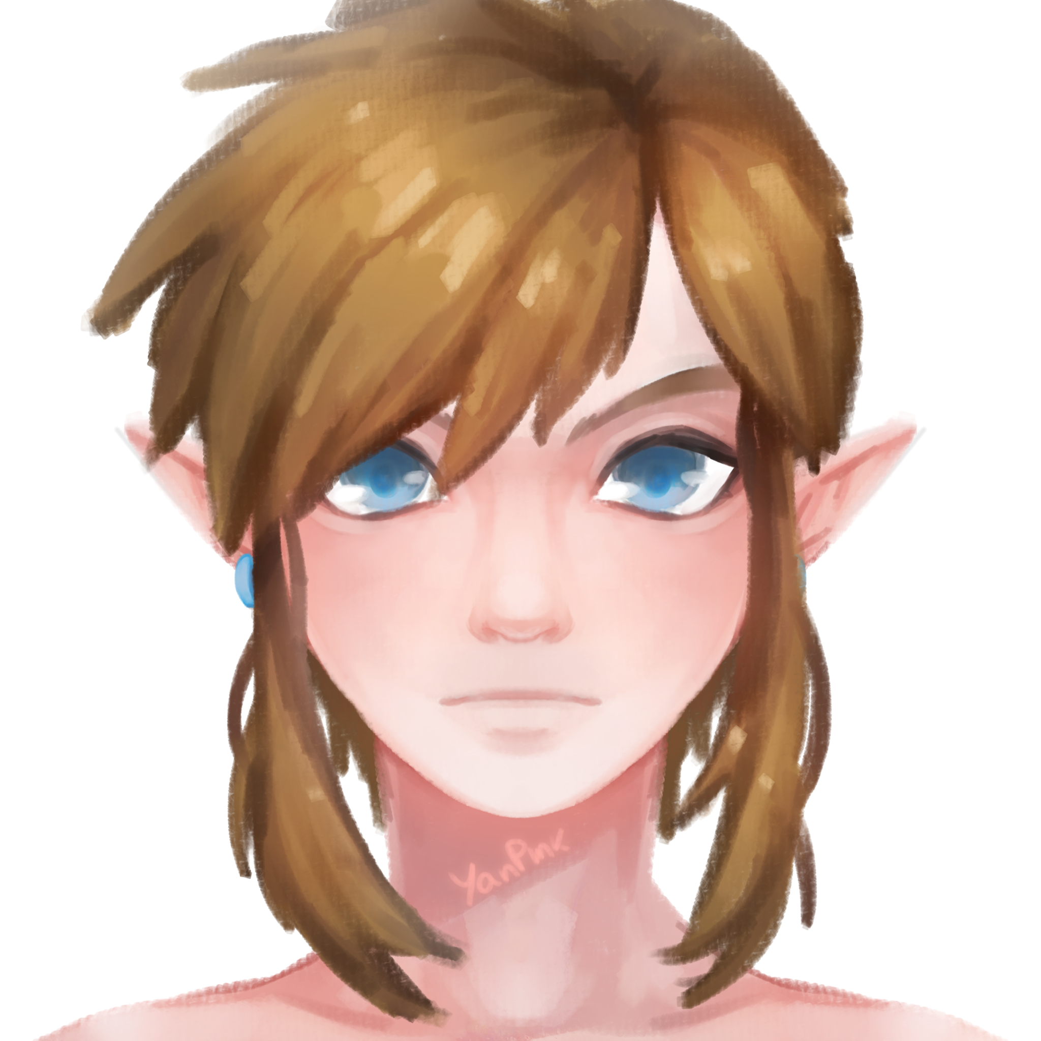 idk, Semi-realistic Botw Link - ibisPaint