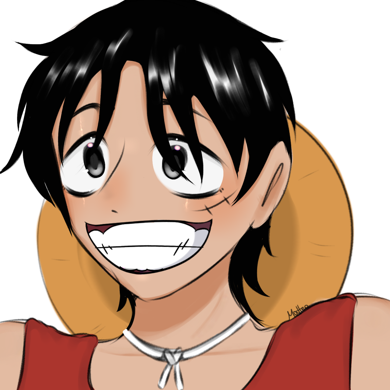 Luffy - ibisPaint