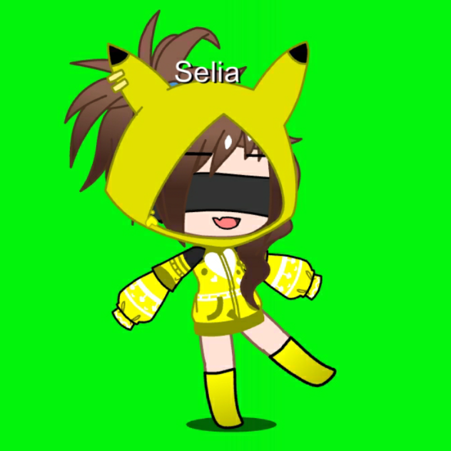 FOR THE ARTIST ISABELLA - ibisPaint