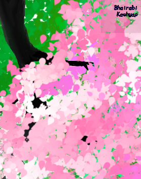 Cherry Blossom - ibisPaint