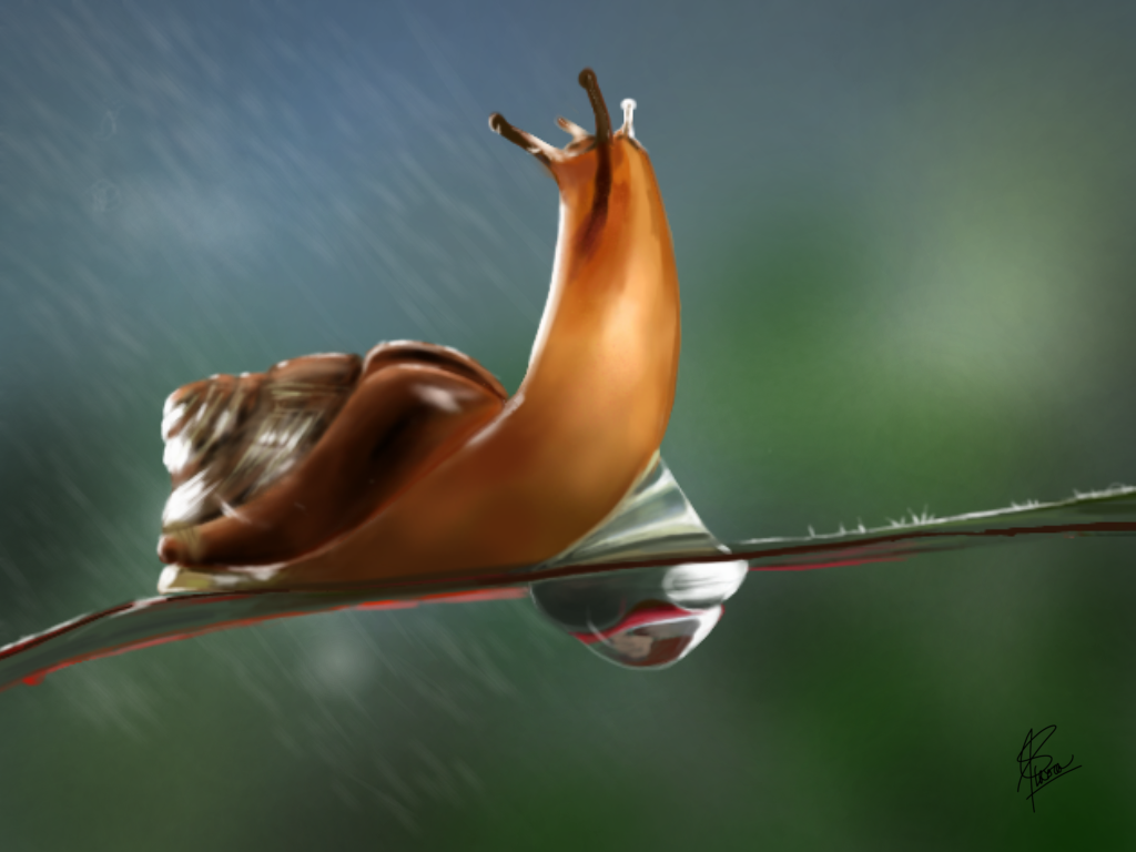 Just a Snail - ibisPaint